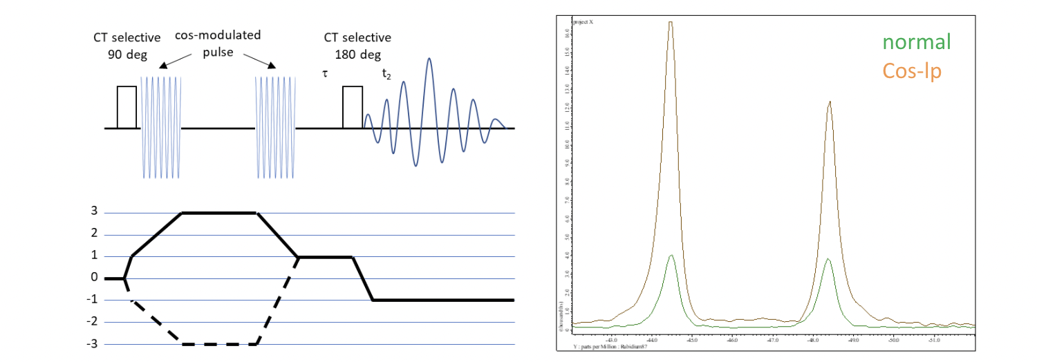 半整数四極子核の固体NMR ⑧ MQMASの感度増強用シーケンス | アプリケーションノート | JEOL 日本電子株式会社